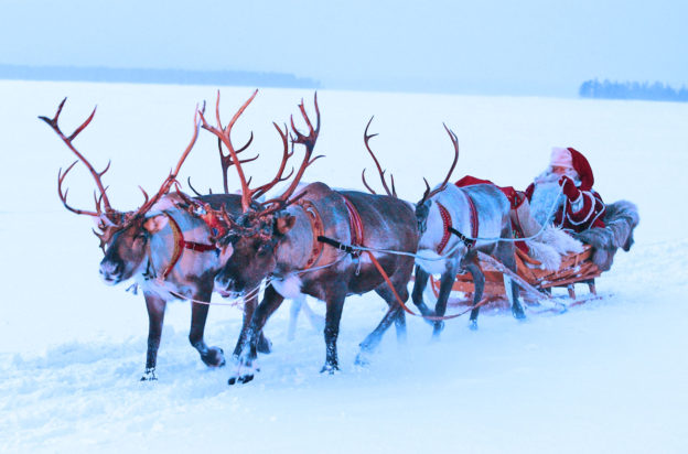 Where did Santa’s Reindeer come from? | The Storage Inn Blog